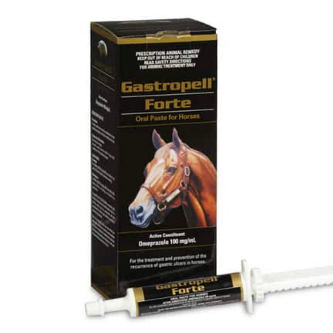 GASTROPELL FORTE 100mg/ml PASTE 5x30ML – PillDrop Pets
