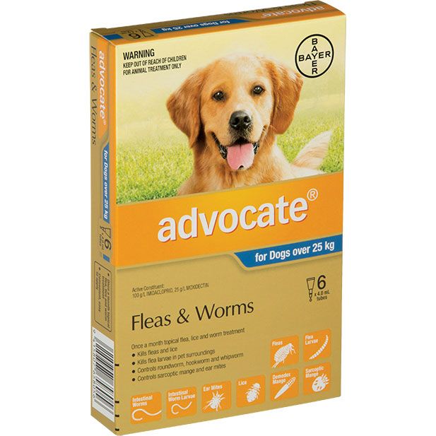 ADVOCATE Spot on X/Large Dogs >25kg 6 Pack – PillDrop Pets